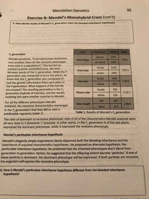 Solved Mendelian Genetics 95 Exercise B: Mendel's Monohybrid | Chegg.com