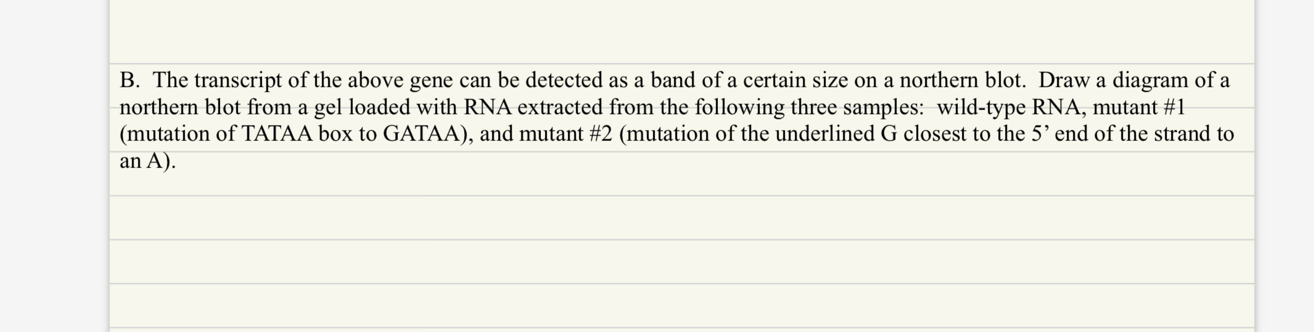 Solved B. ﻿The transcript of the above gene can be detected | Chegg.com