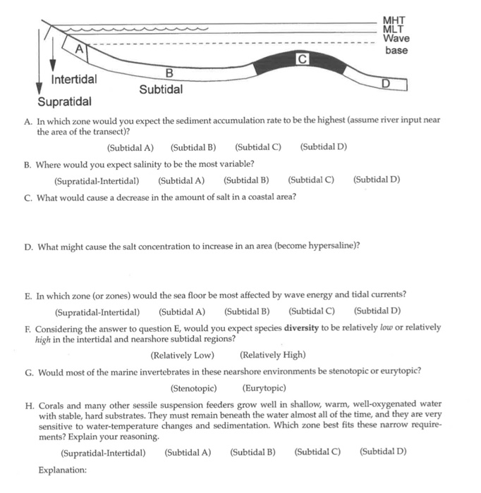 Solved MHT MLT base Intertidal Supratidal the area of the | Chegg.com