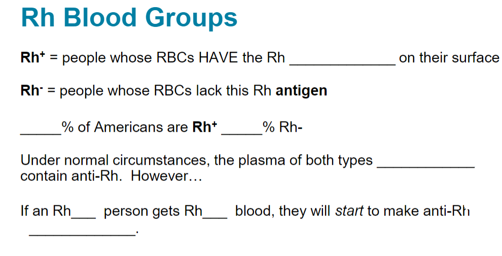 Solved Rh+=people whose RBCs HAVE the Rh on their surface | Chegg.com