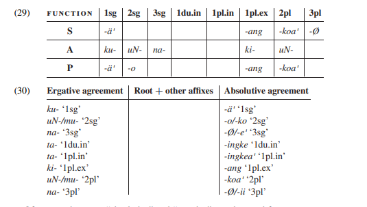 LINGUISTICS ( MORPHOLOGY AND SYNTAX) 7A Quich´e | Chegg.com
