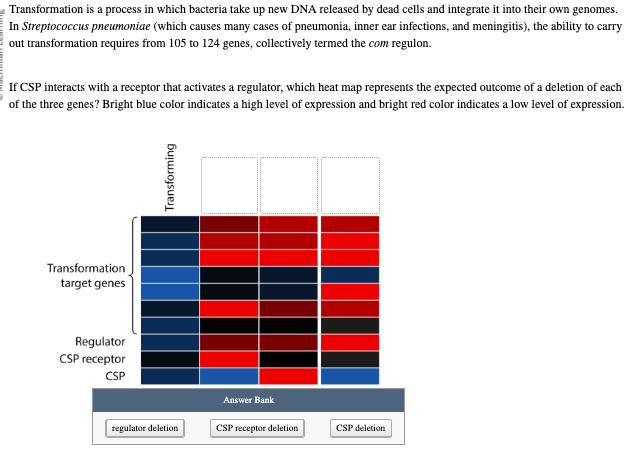 Solved Transformation is a process in which bacteria take up | Chegg.com