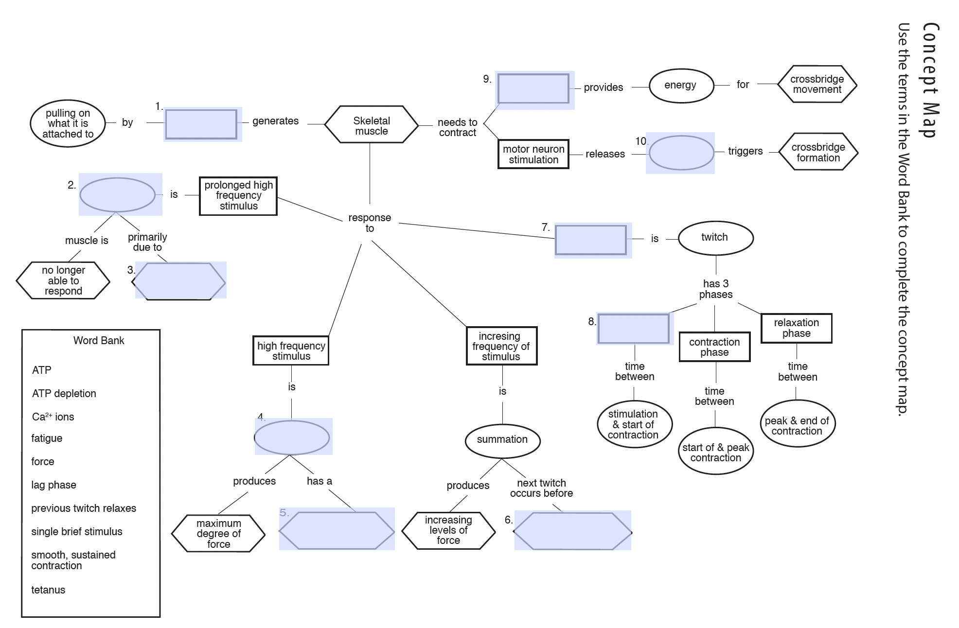 Solved please complete the concept map by filling it in. | Chegg.com