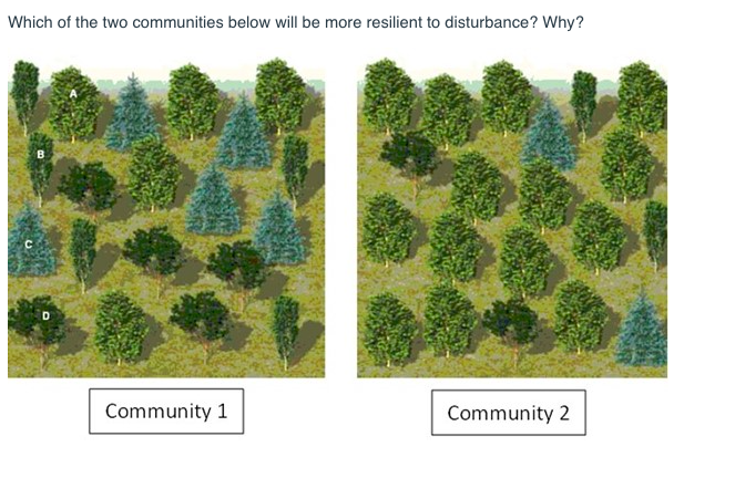 Solved Which of the two communities below will be more | Chegg.com