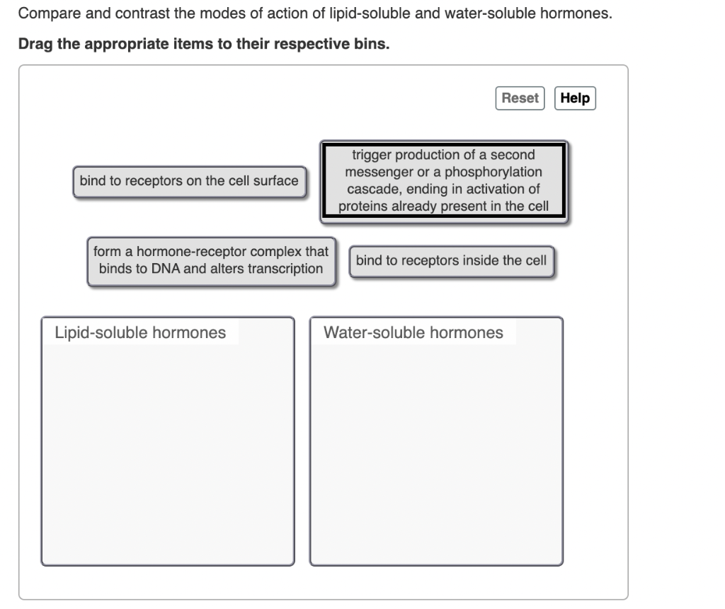 Solved Compare and contrast the modes of action of | Chegg.com