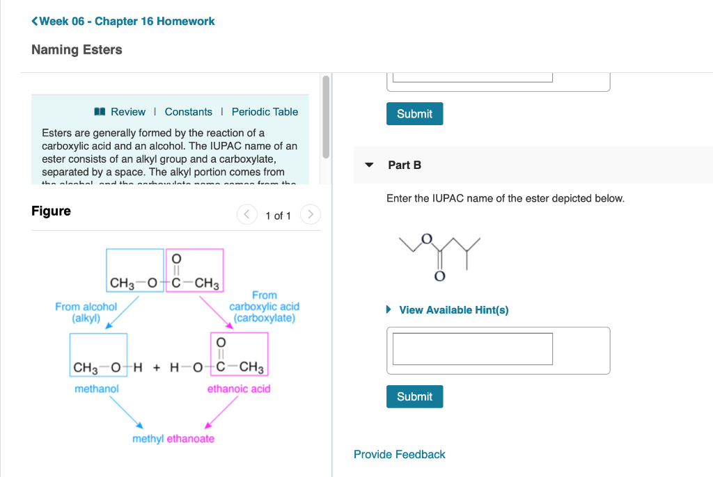 Solved Week 06-Chapter 16 Homework Naming Esters ReviewI | Chegg.com