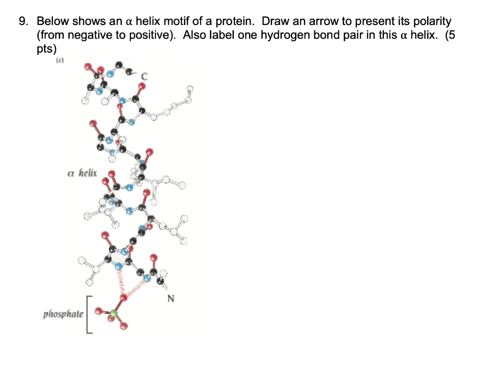 Solved 9. Below shows an a helix motif of a protein. Draw an | Chegg.com