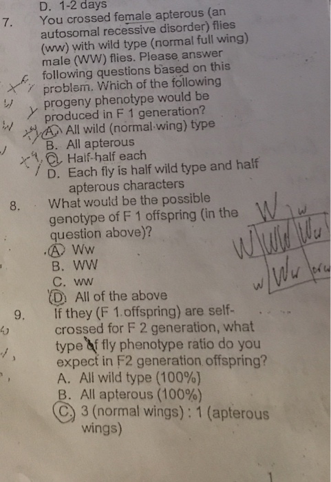 Solved You crossed female apterous (an autosomal recessive | Chegg.com