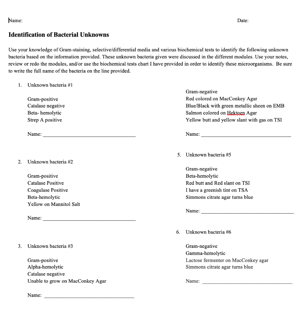 Solved Name: Date: Identification of Bacterial Unknowns Use | Chegg.com