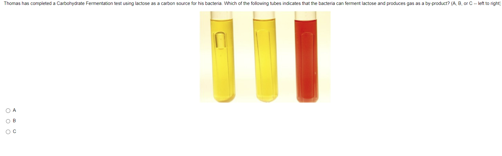 Solved |III | Chegg.com