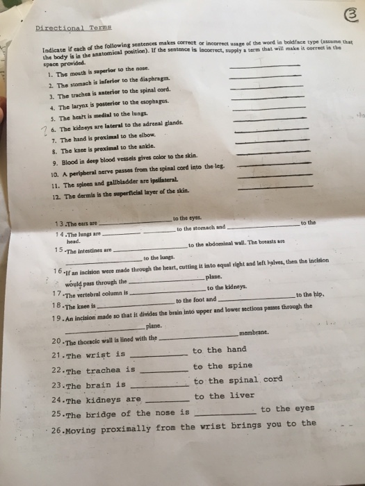 Solved Indicate if each of the following sentences makes | Chegg.com