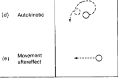 Autokinetic Effect Example