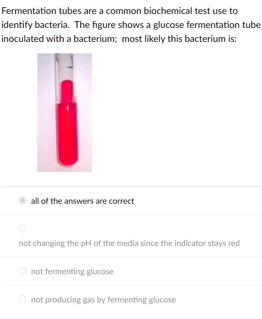 Solved Fermentation tubes are a common biochemical test use | Chegg.com