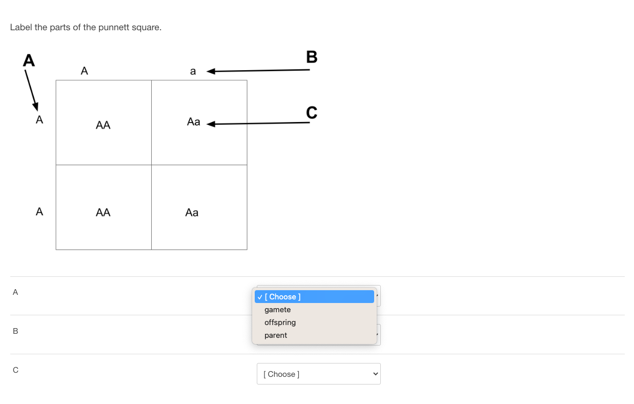 Solved Label the parts of the punnett square. | Chegg.com