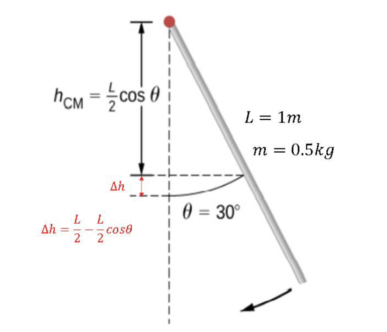Solved A pendulum in the shape of a rod is released from | Chegg.com