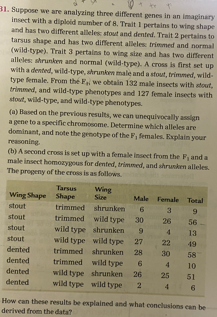 31. Suppose we are analyzing three different genes in | Chegg.com