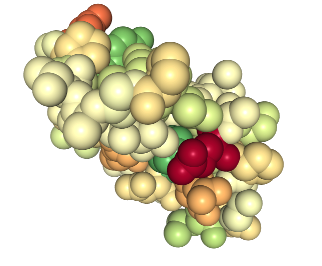 Solved 1) What is the N-terminal amino acid and the | Chegg.com