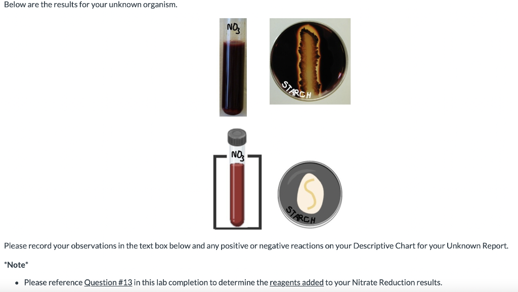 Below are the results for your unknown organism. | Chegg.com