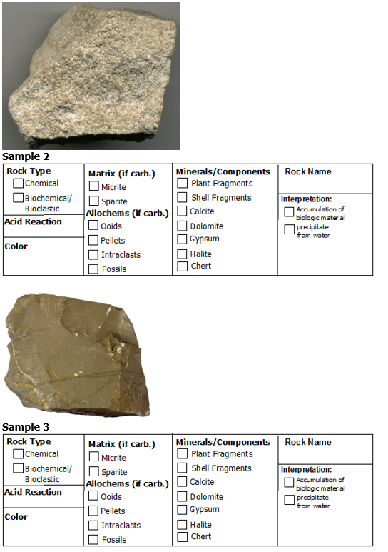 Solved Rock Name Sample 1 Rock Type Chemical Biochemical/ | Chegg.com