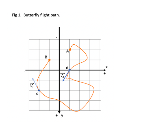 Solved A scientist who tracks the movement of butterflies | Chegg.com