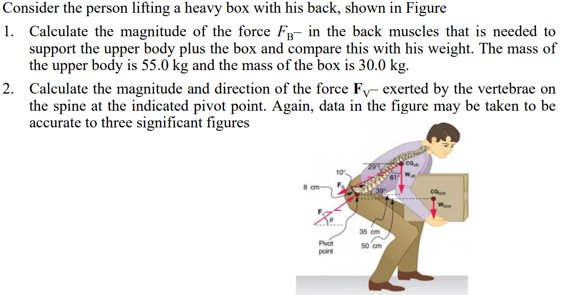 Solved Consider the person lifting a heavy box with his | Chegg.com