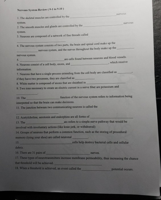 Solved Nervous System Review (9-1 to 9.10 ) nervous nervous | Chegg.com