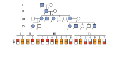 Solved The figure below shows the pedigree of a family in | Chegg.com