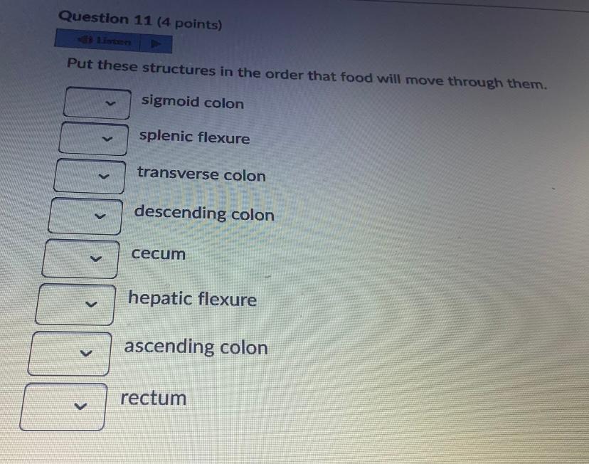 Solved Put these structures in the order that food will move | Chegg.com