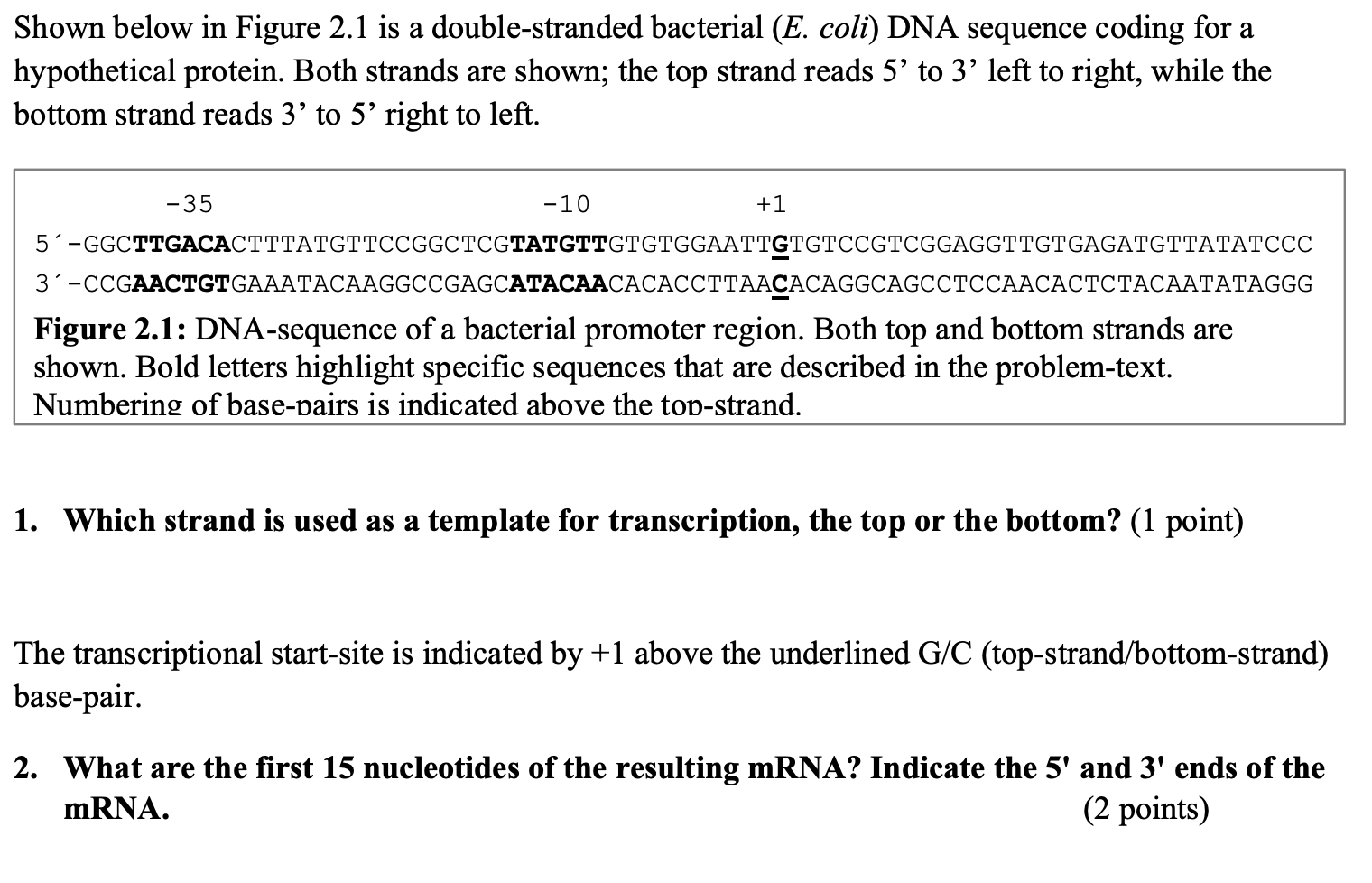 Solved Shown below in Figure 2.1 is a double-stranded | Chegg.com