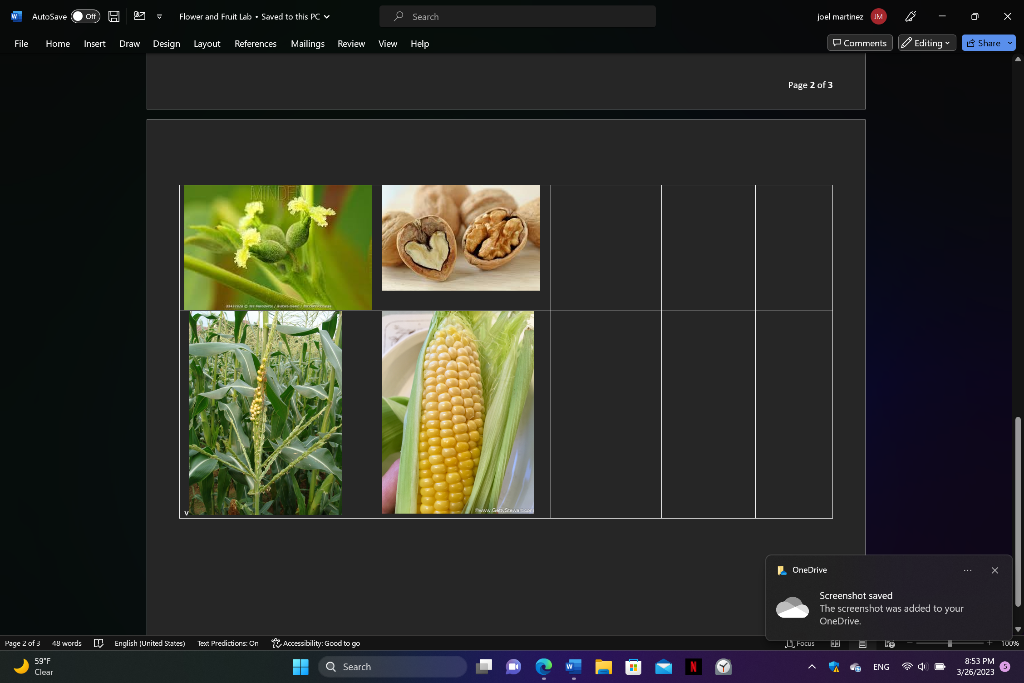 Solved Lab Procedure 1: Dichotomaus Key ROCFDURE- Use the | Chegg.com