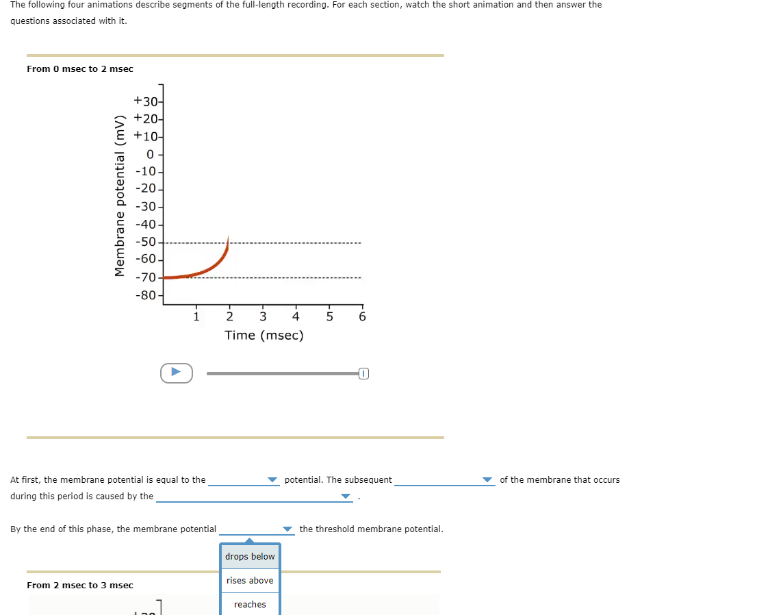 Solved The following four animations describe segments of | Chegg.com