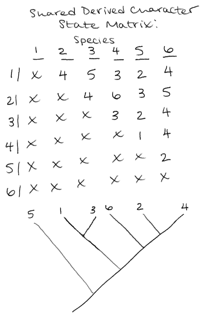 I just wanted to see if someone could check my | Chegg.com