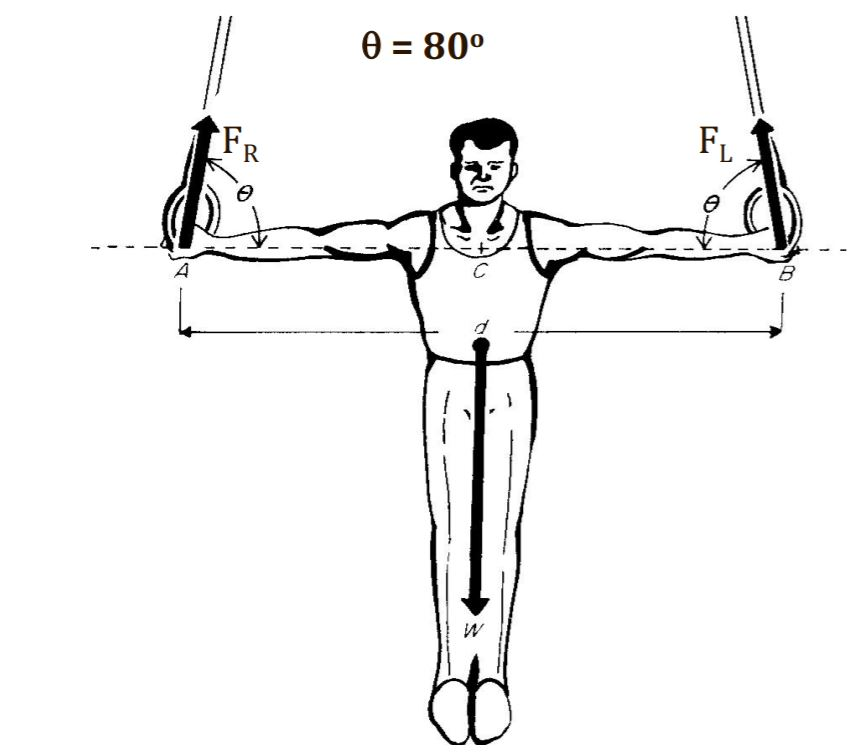 Solved The diagram on the next slide shows our 50th | Chegg.com