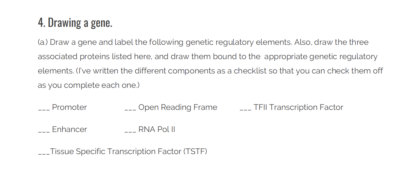 Solved 4. Drawing a gene. (a.) Draw a gene and label the | Chegg.com