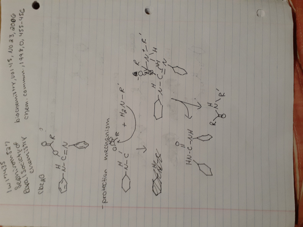 Solved The carboxybenzyl group (Cbz) can be used to protect | Chegg.com