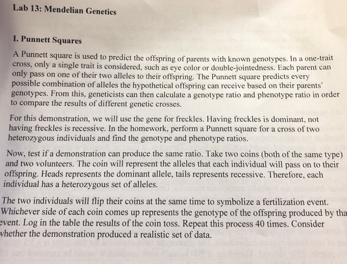 Solved Lab 13: Mendelian Genetics I. Punnett Squares A | Chegg.com