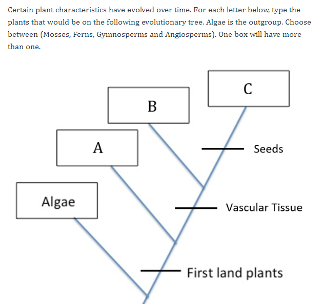 Solved Certain plant characteristics have evolved over time. | Chegg.com