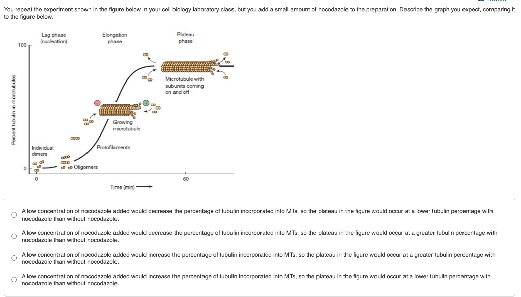 Solved You repeat the experiment shown in the figure below | Chegg.com