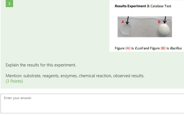 Solved Results Experiment 3: Catalase Test A Figure (A) is | Chegg.com