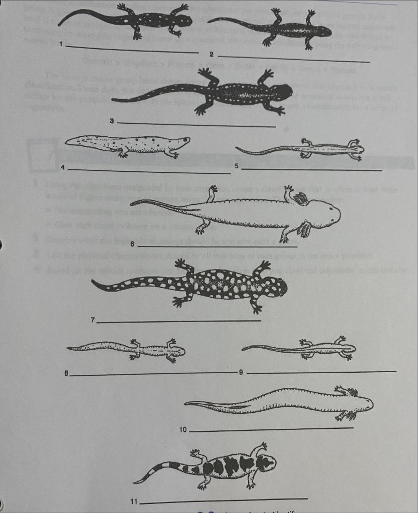 Solved 3: Using Dichotomous Keys Source: | Chegg.com
