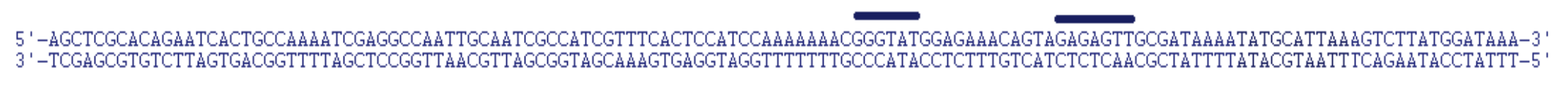 3. Here is part of a gene sequence for a bacterial | Chegg.com