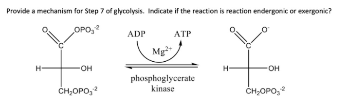 Solved So here 1,3 biphosphoglycerate is convereted to | Chegg.com