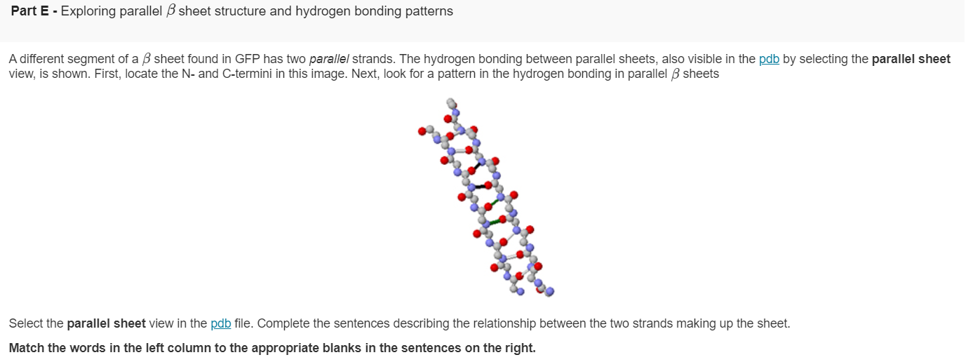 Solved Part E - Exploring parallel ß sheet structure and | Chegg.com