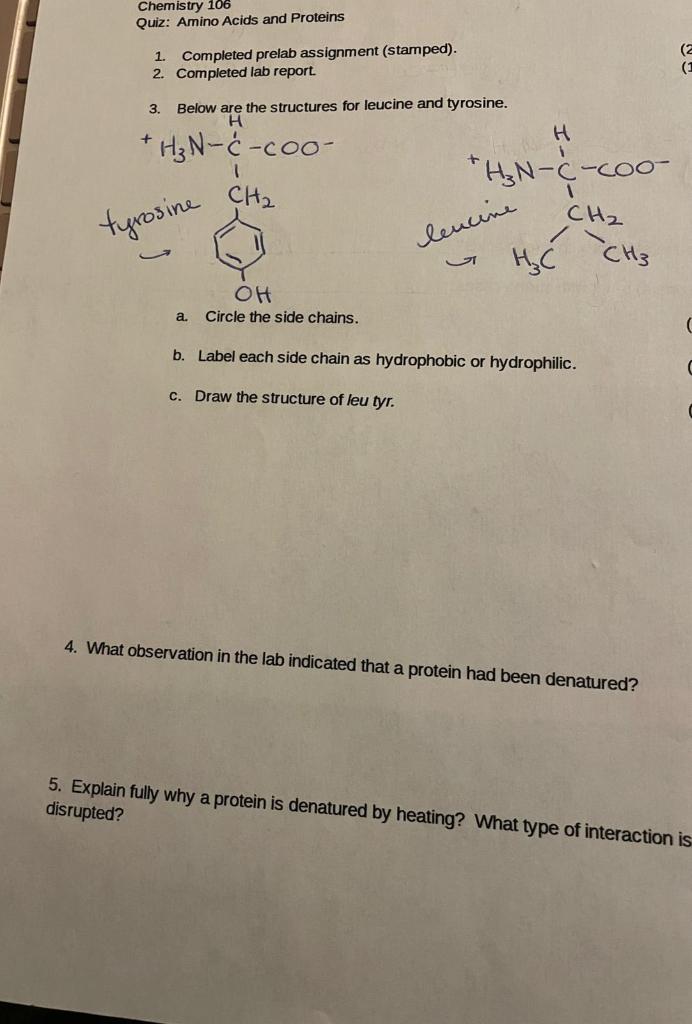 Solved Chemistry 106 Quiz: Amino Acids and Proteins 1. | Chegg.com