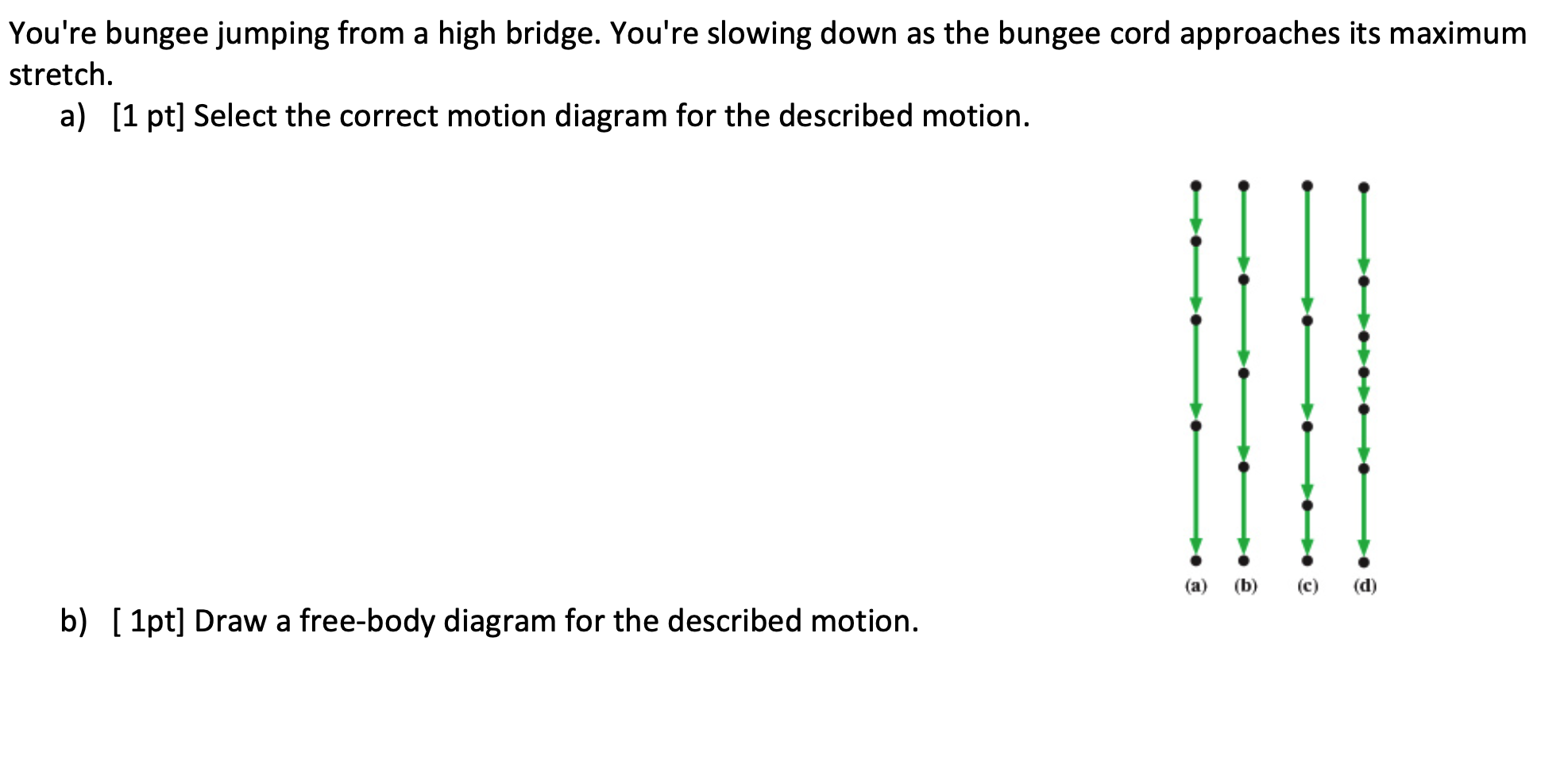 Solved You're bungee jumping from a high bridge. You're | Chegg.com