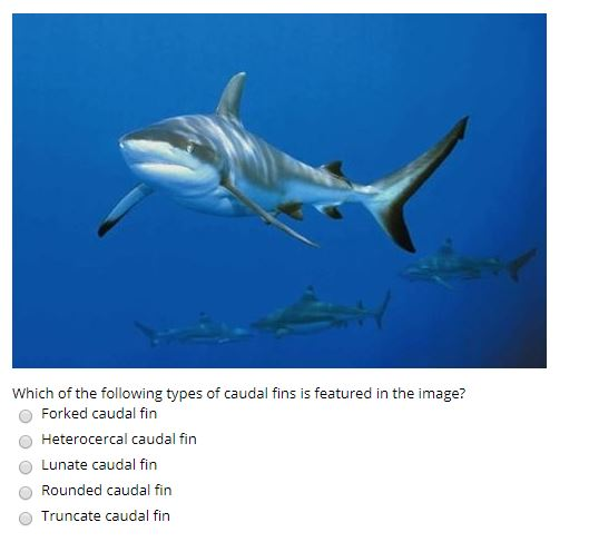 Earth Sciences Archive | July 29, 2019 | Chegg.com