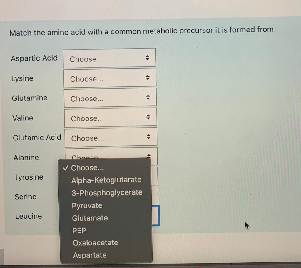 Solved Match the amino acid with a common metabolic | Chegg.com