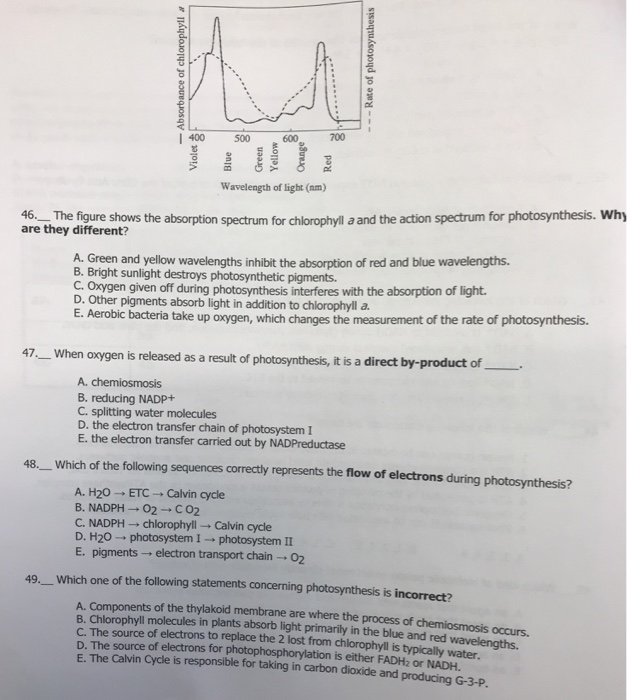 Solved 400 500 600 700 Wavelength of light (am) 46 The | Chegg.com