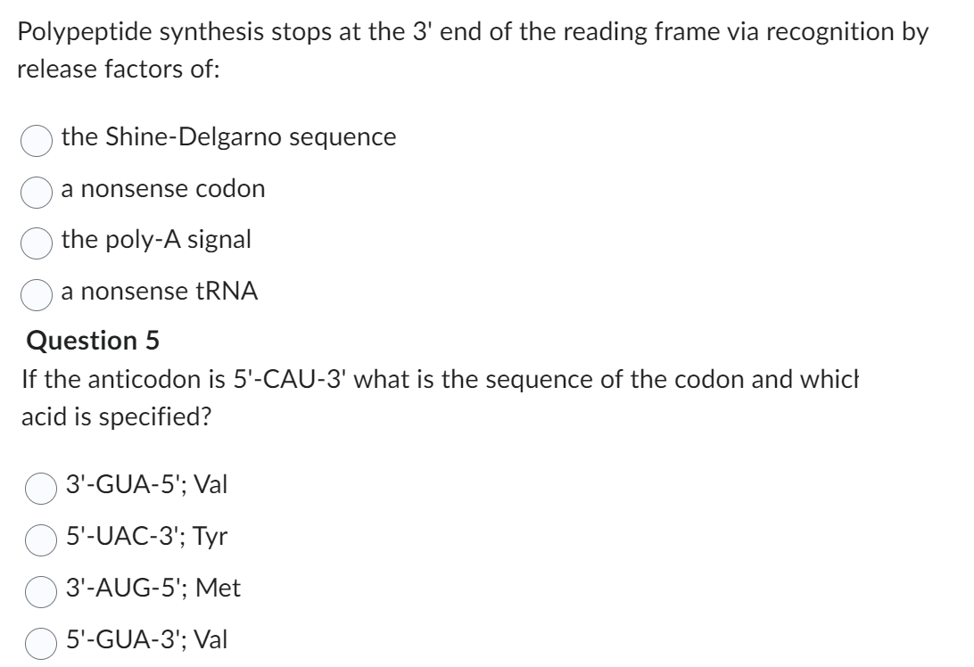 Solved Polypeptide synthesis stops at the 3′ end of the | Chegg.com