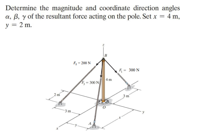 Solved Determine The Magnitude And Coordinate Direction